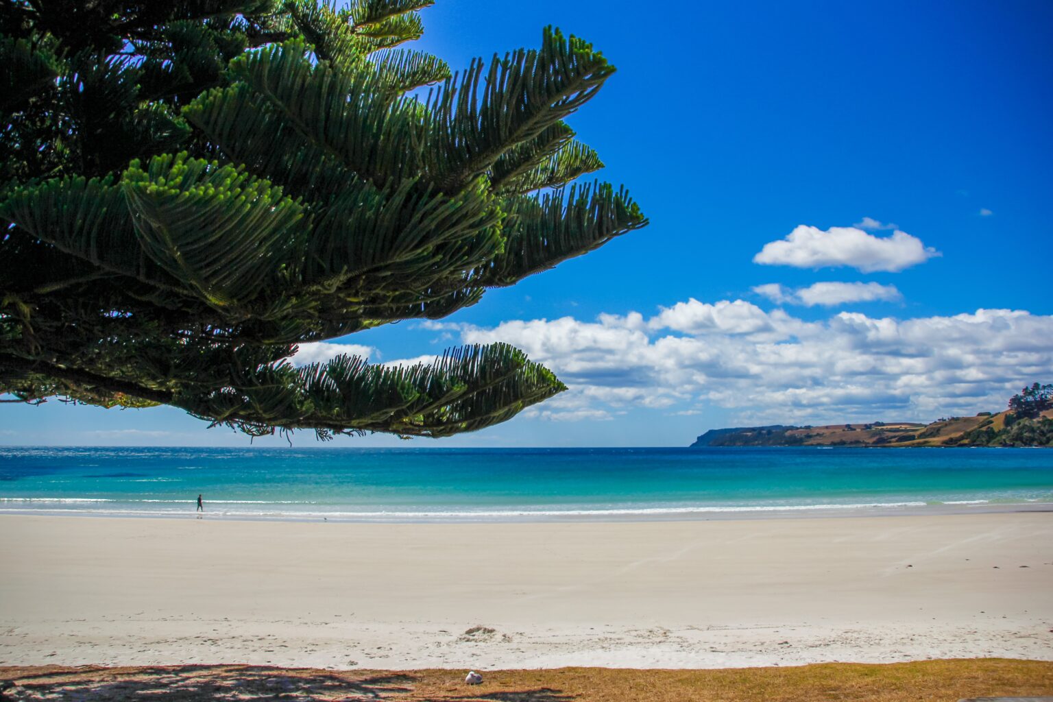 Oceanview vs. Oceanfront vs. Beachfront Rooms; What are the differences?